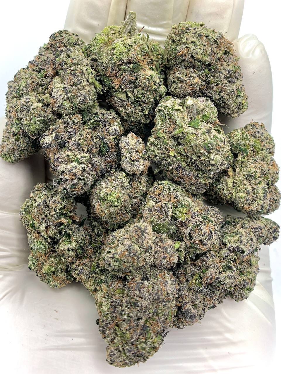 Wild Cherry Gelato THCa Flower – Premium Wholesale Strain with Sweet ...